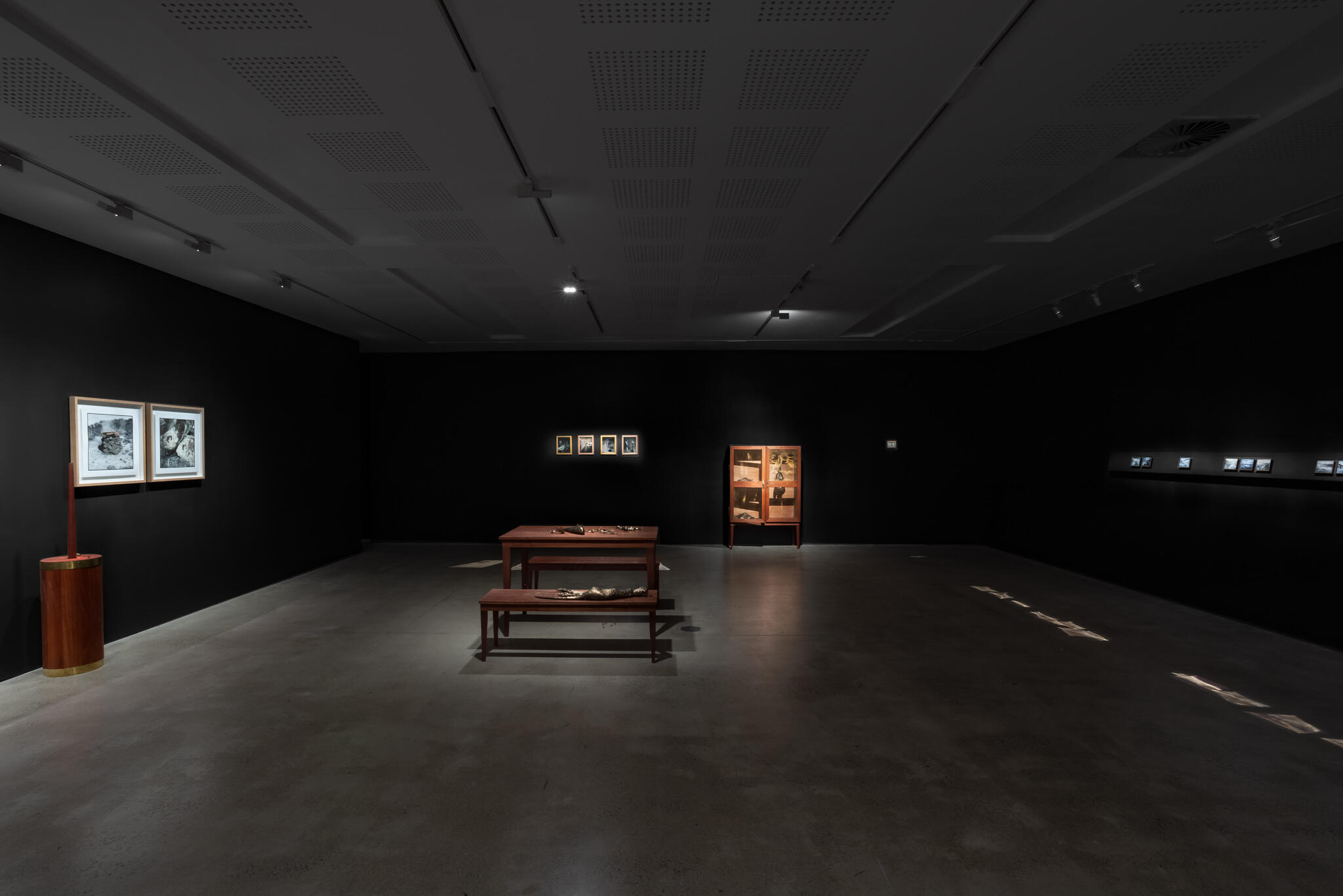 James Tylor: Turrangka...in the shadows | UNSW Galleries