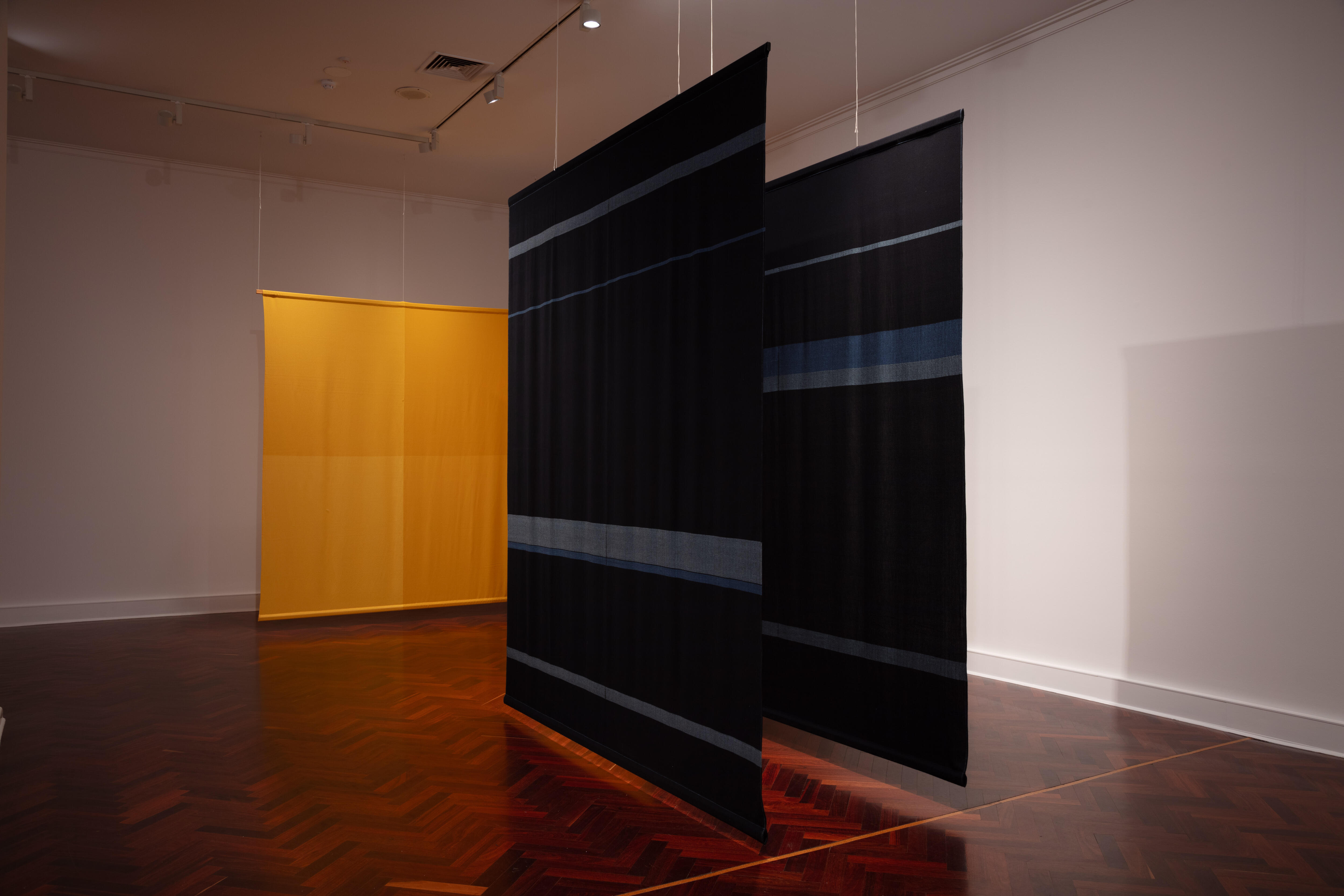 Pliable Planes: Expanded Textiles & Fibre Practices | UNSW Galleries